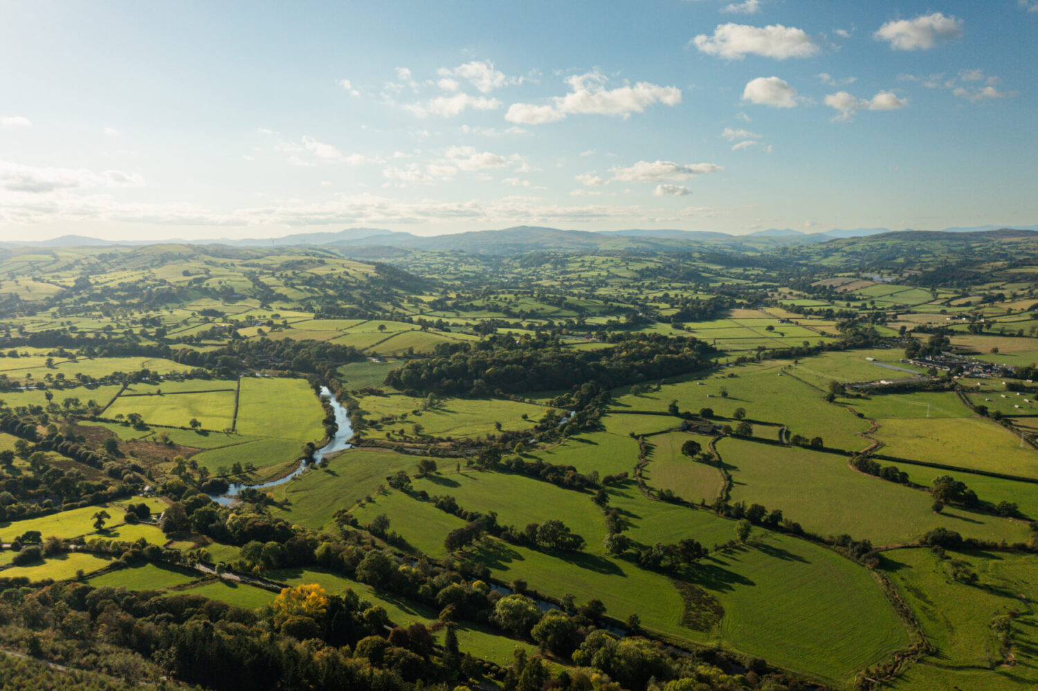What's On At Rhug Estate Organic Farm | Events In North Wales